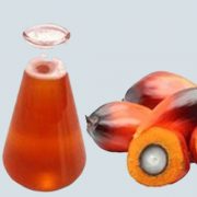 CRUDE PALM OIL(CPO) – Oil Palm India Ltd